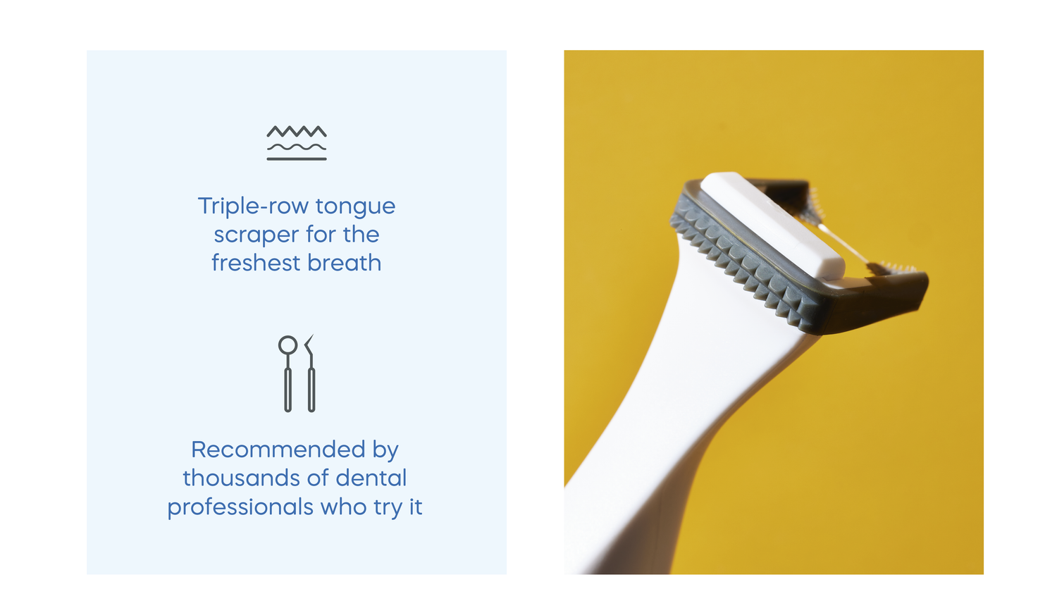 Anatomy of a Flosser – Slate Flosser