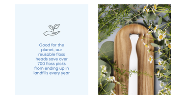 Anatomy of a Flosser – Slate Flosser