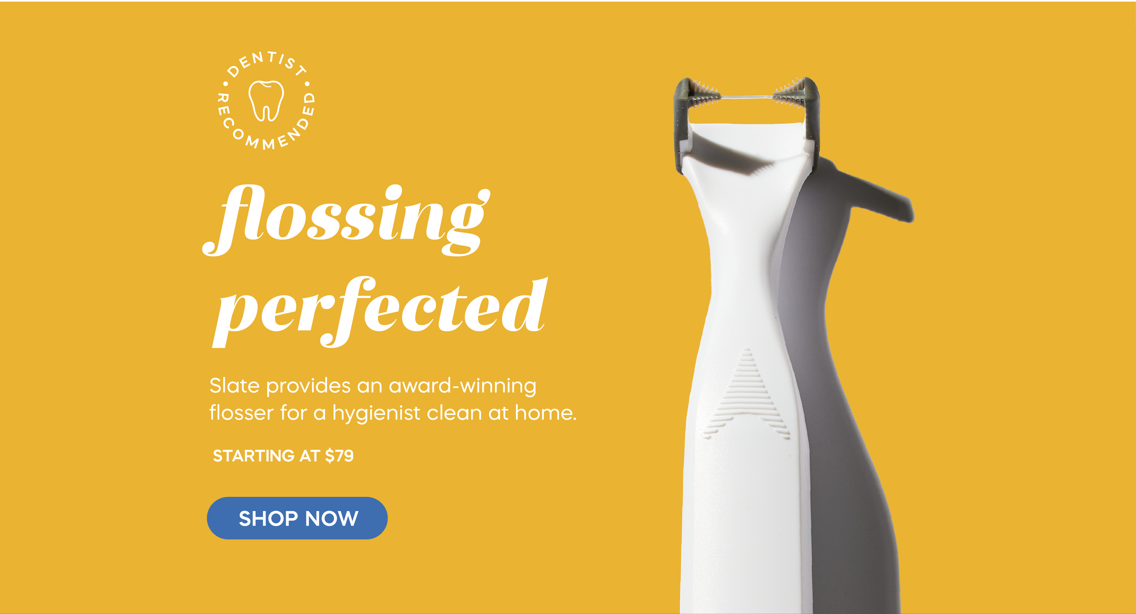 Anatomy of a Flosser – Slate Flosser